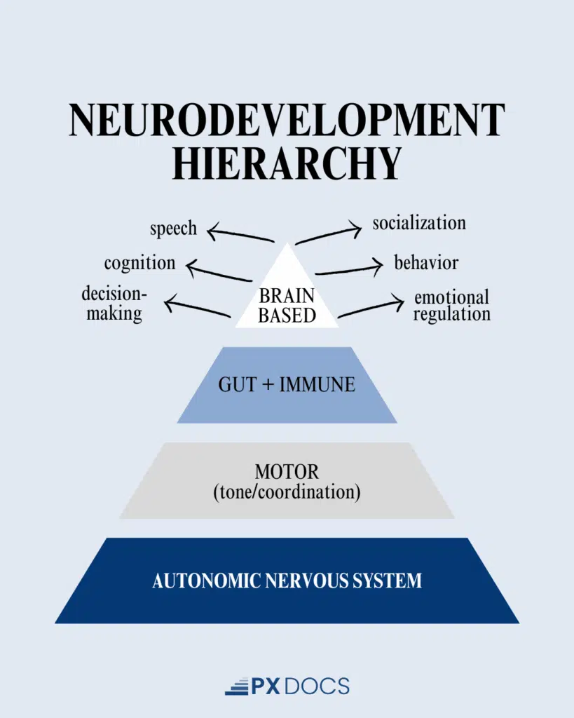 The Five Developmental Domains: Supporting Your Child's Growth | PX Docs