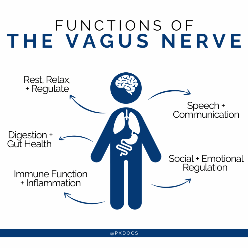 When Behavioral Therapy Doesn't Work: You're Not Alone | PX Docs
